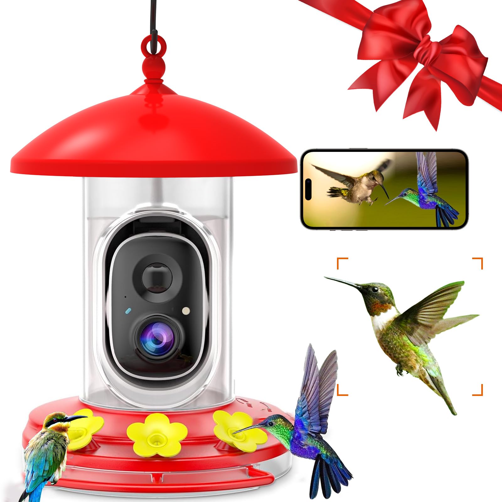 Amazon.com : Hummingbird Feeder with Camera, 2K Video Hummingbird ...