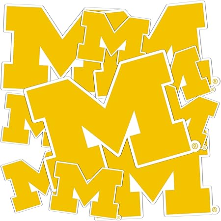Amazon.com: Desert Cactus University of Michigan Sticker Wolverines UM ...