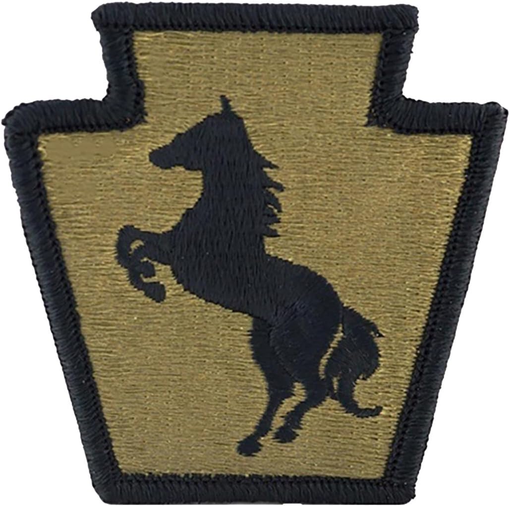 Amazon.com: Uniform Accessories Unlimited Inc 55th Maneuver Enhancement ...