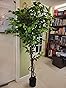 Amazon.com: 6FT Artificial Ficus Tree Tall Faux Trees Indoor, Fake Silk ...