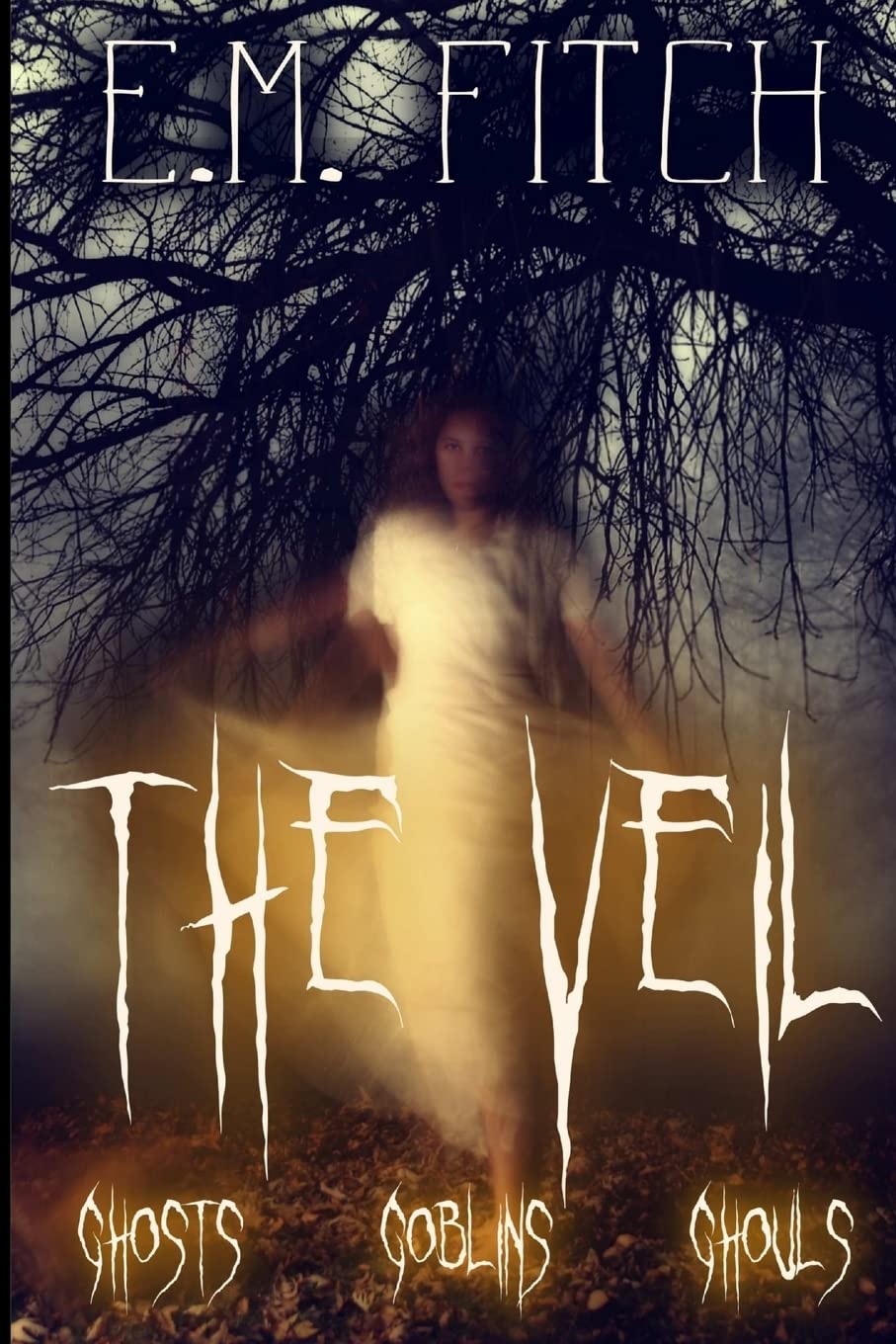 The Veil: Ghosts, Goblins, Ghouls: Fitch, E.M.: 9781387226498: Amazon ...
