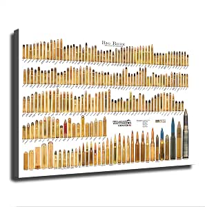 Amazon.com: Gun Bullet Caliber Guide Canvas Poster Holiday Gift HD ...