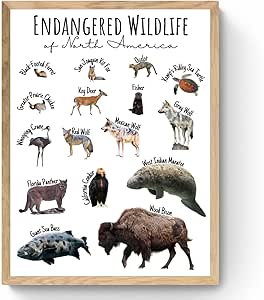 Amazon.com: Retro Metal Tin Sign 8 X 12 Inches Endangered Wildlife of ...