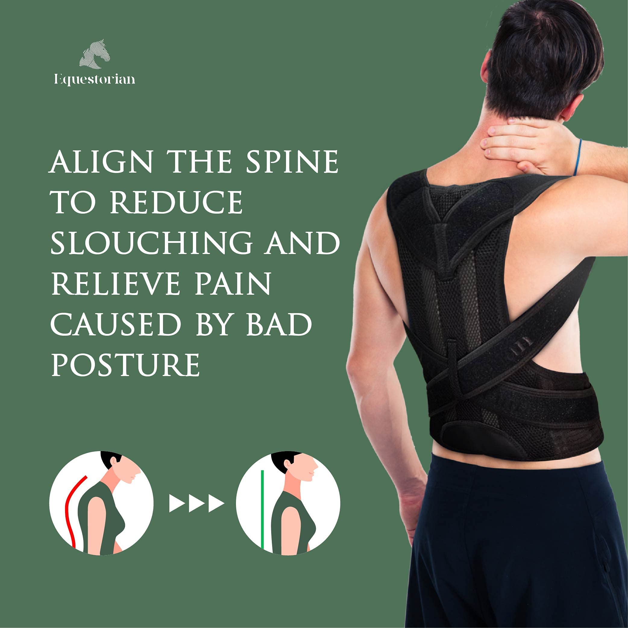 Equestorian Upper Back Support Posture Corrector to Improve Your Riding ...