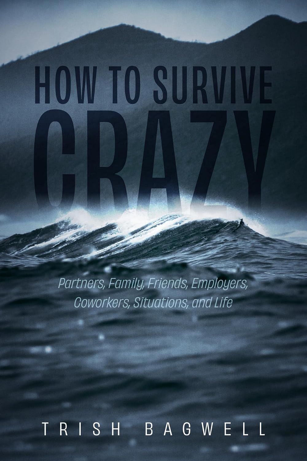 How to Survive Crazy: Partners, Family, Friends, Employers, Coworkers ...