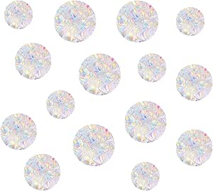 Amazon.com: Dohia Circle Window Clings for Bird Static Rainbow Glass ...