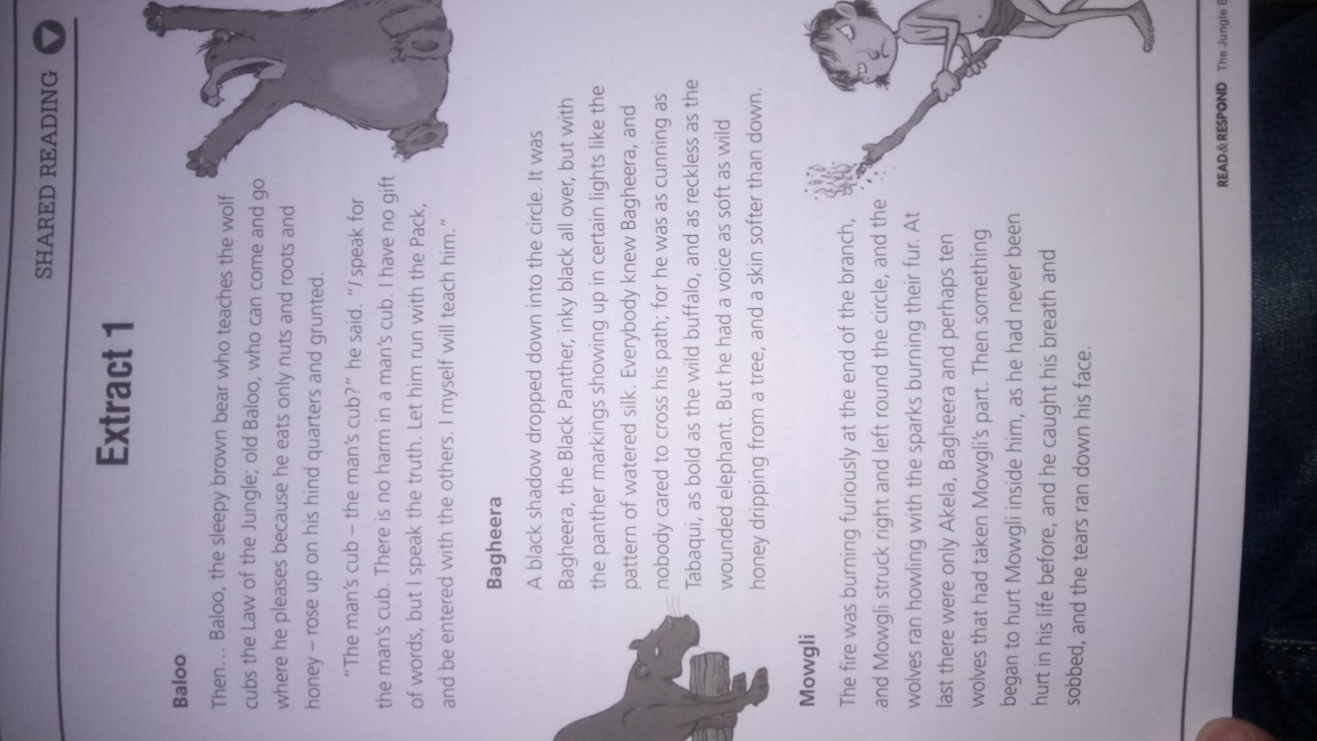 Jungle Book: teaching activities for guided and shared reading, writing ...