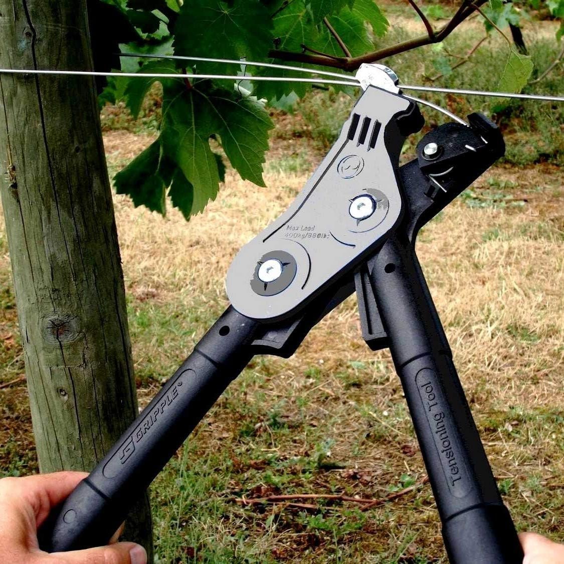 Gripple Plus Medium Starter Pack | 50 GP Medium | Torq Tool – BigaMart