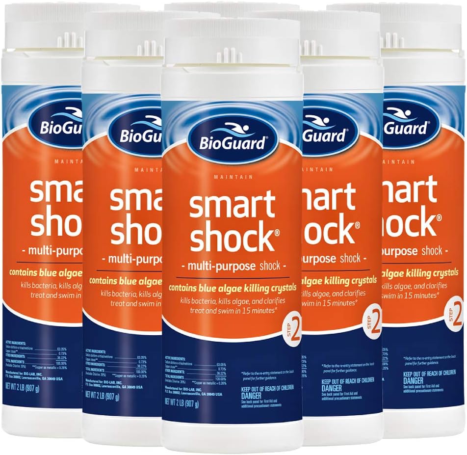 Amazon.com : BioGuard Smart Shock 2lb (6) : Swimming Pool Chlorine ...