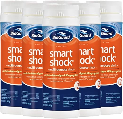 Amazon.com : BioGuard Smart Shock 2lb (6) : Swimming Pool Chlorine ...