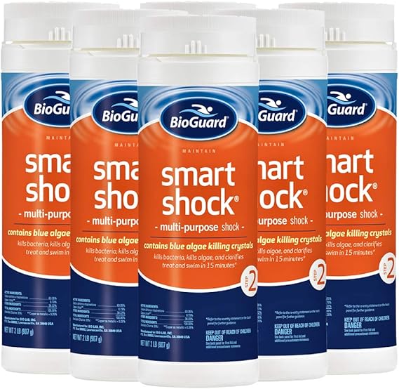 Amazon.com : BioGuard Smart Shock 2lb (6) : Swimming Pool Chlorine ...