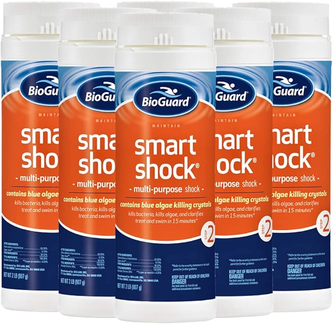 Amazon.com : BioGuard Smart Shock 2lb (6) : Swimming Pool Chlorine ...