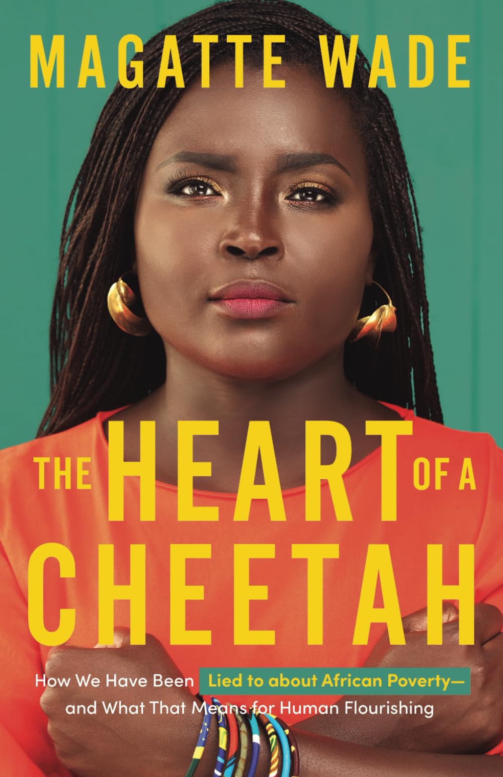The Heart of A Cheetah: How We Have Been Lied to about African Poverty ...