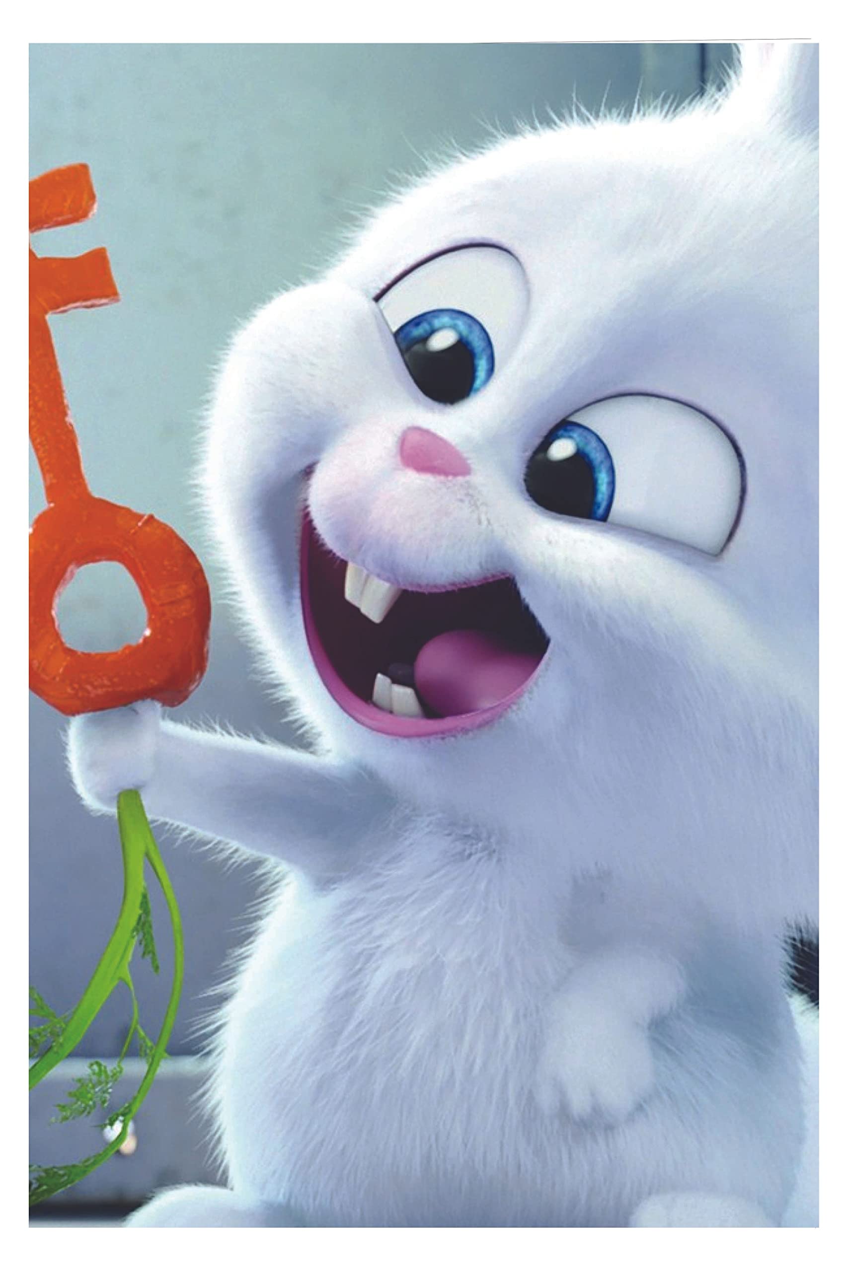 Cute Rabbit Animation