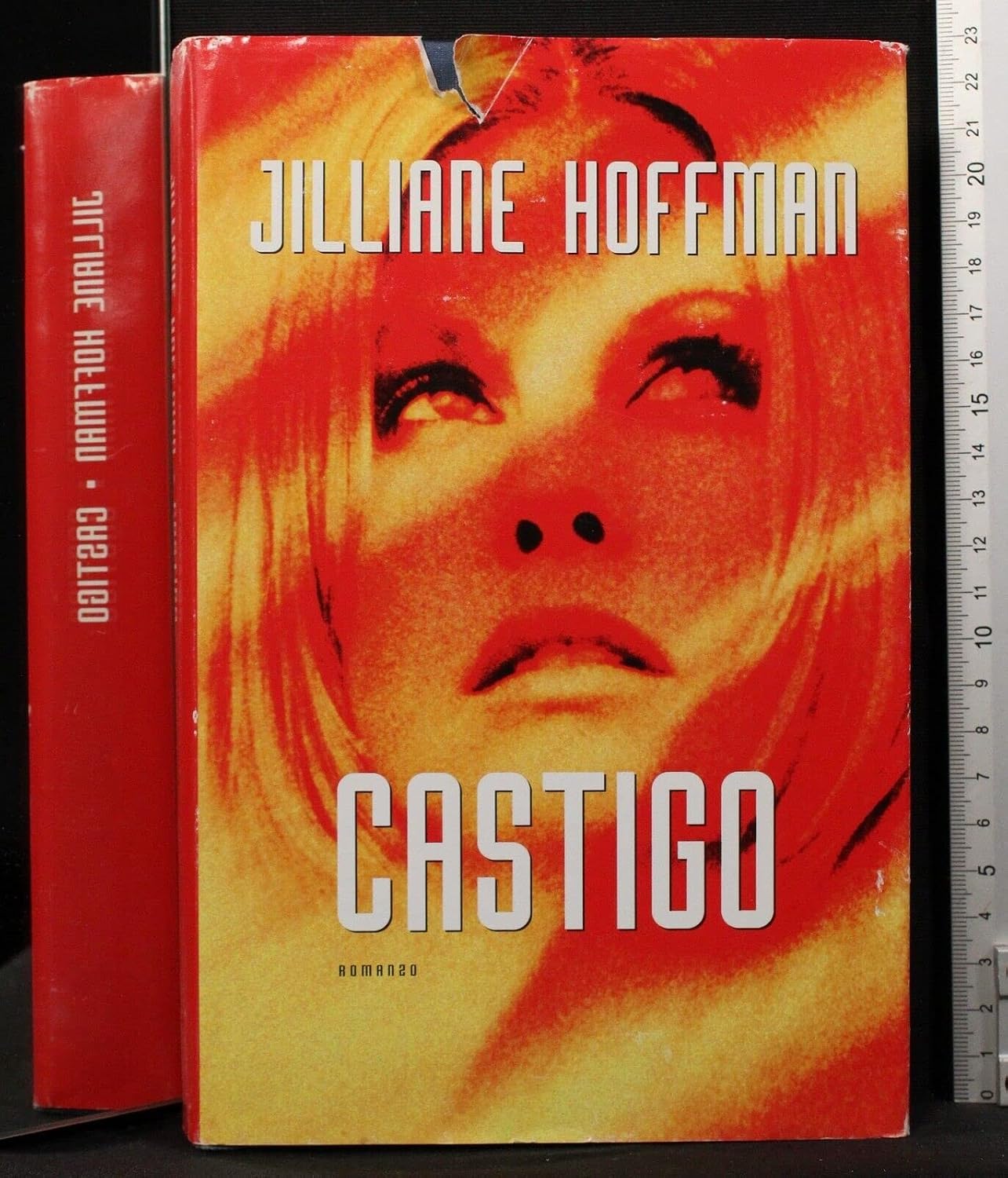 Amazon.com: Castigo: 9788467207859: HOFFMAN, Jilliane.-: Books