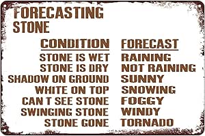 Amazon.com: Vintage Metal Signs Weather Forecasting Stone Tin Sign ...