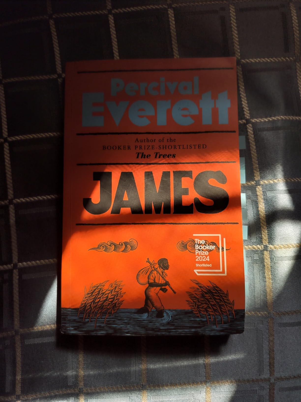 Buy James: A Novel Book Online at Low Prices in India | James: A Novel ...