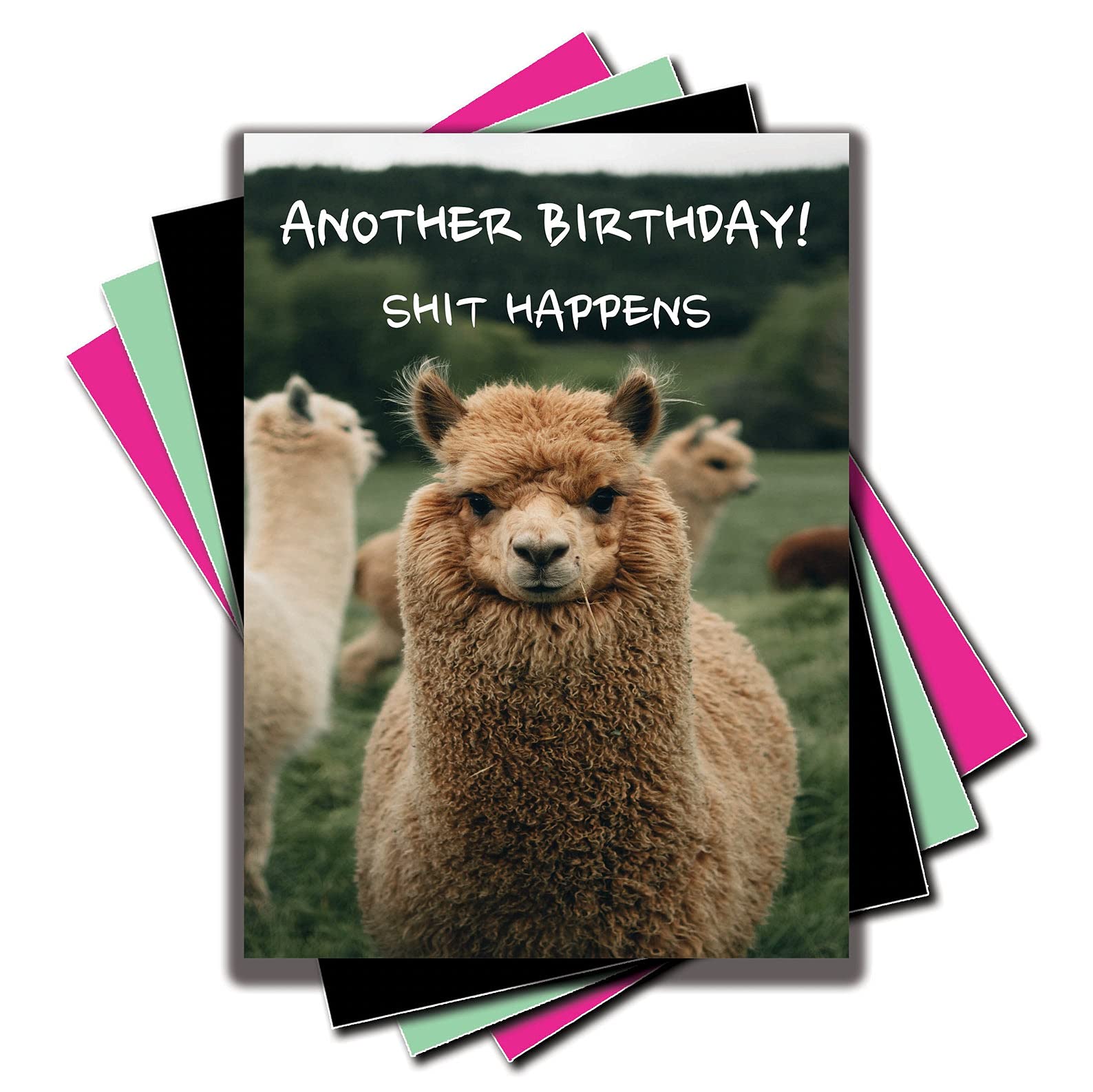 Jackass - Hitta bästa priset på Prisjakt