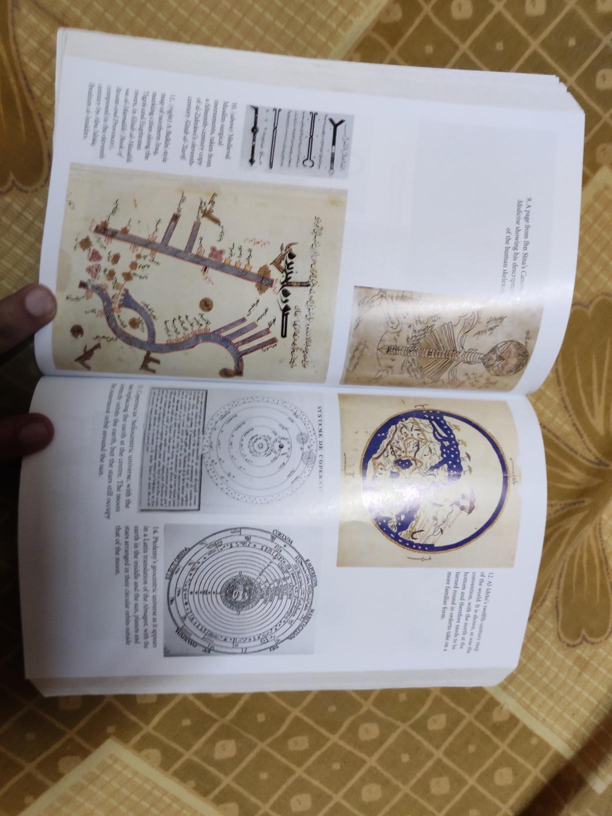 Buy The House of Wisdom: How Arabic Science Saved Ancient Knowledge and ...