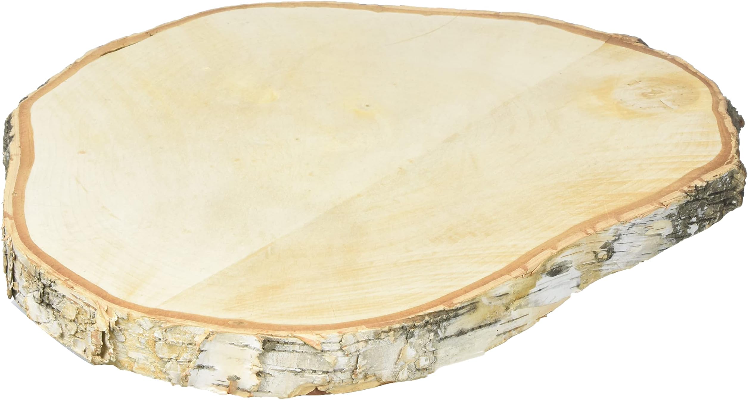 Rayher 55807000 Large Birch Wood Disc with Bark, Natural Round Wooden ...