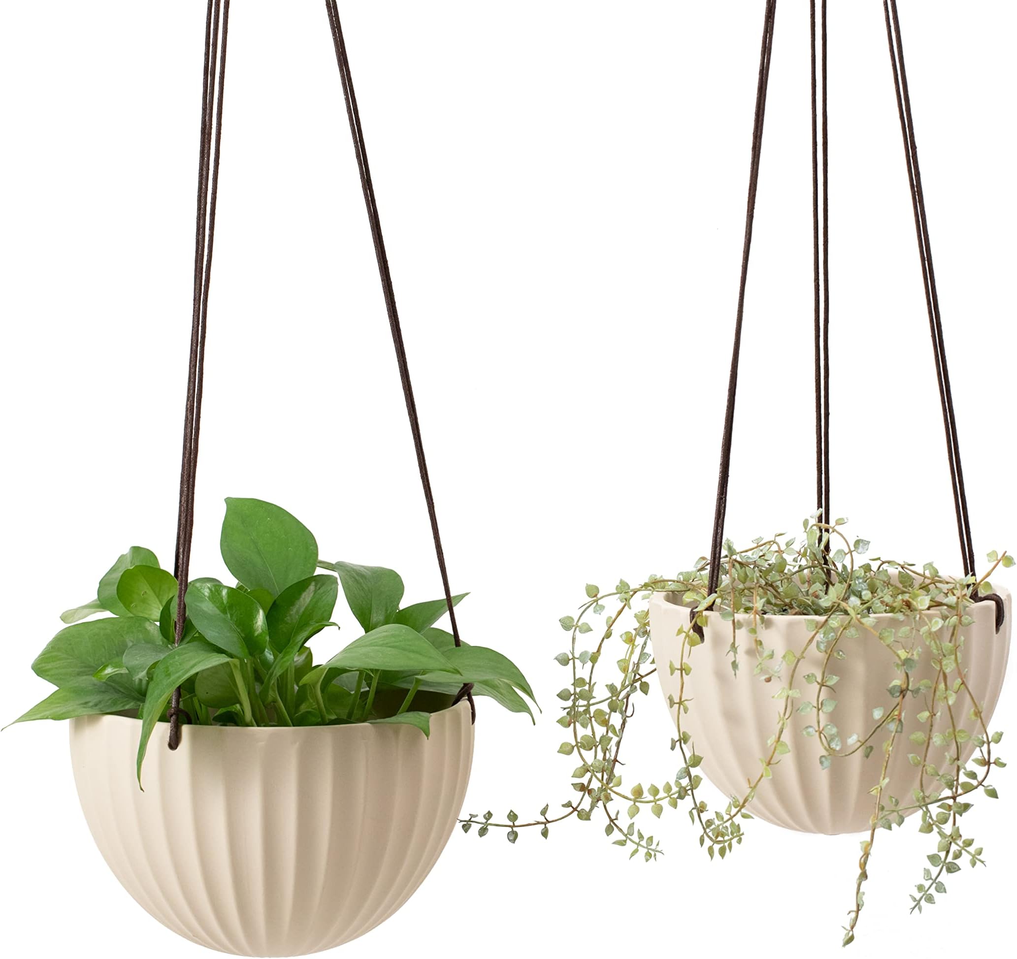 Amazon.com: Slice of Goodness Hanging Planters - Set of 1 Small & 1 Big ...