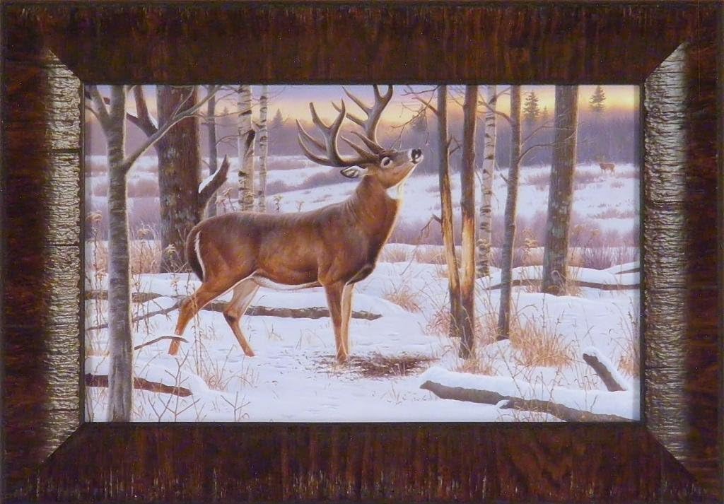 Amazon.com: The Jordan Buck by Cynthie Fisher 11x15 King Of Bucks ...