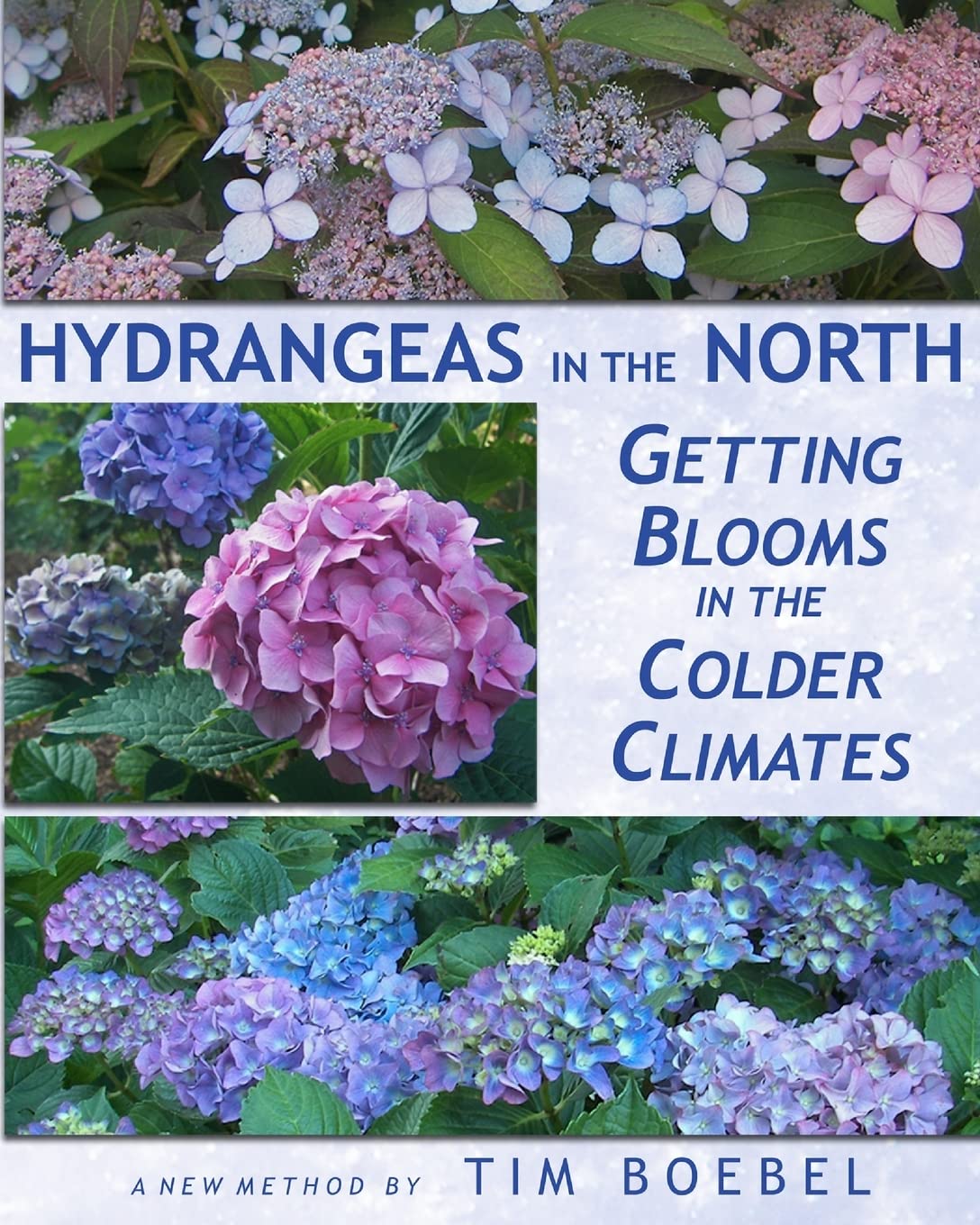 Hydrangeas in the North: Getting Blooms in the Colder Climates: Boebel ...