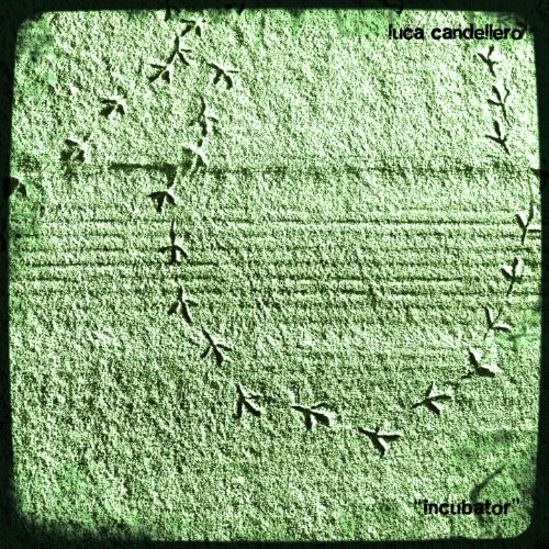 Amazon.com: Incubator : Luca Candellero: Digital Music