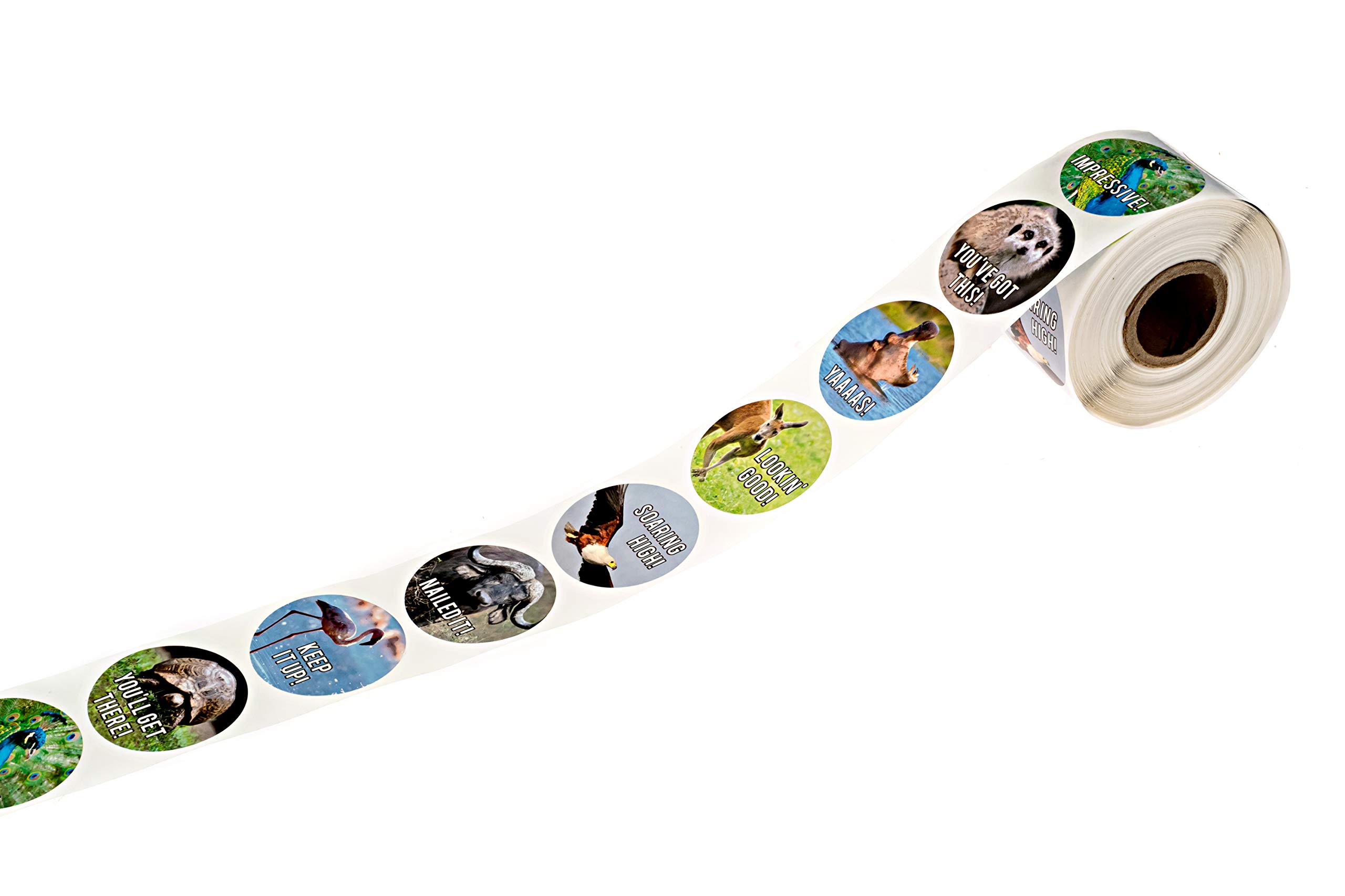Snapklik.com : Motivational Animal Stickers / 500 Students Patients ...