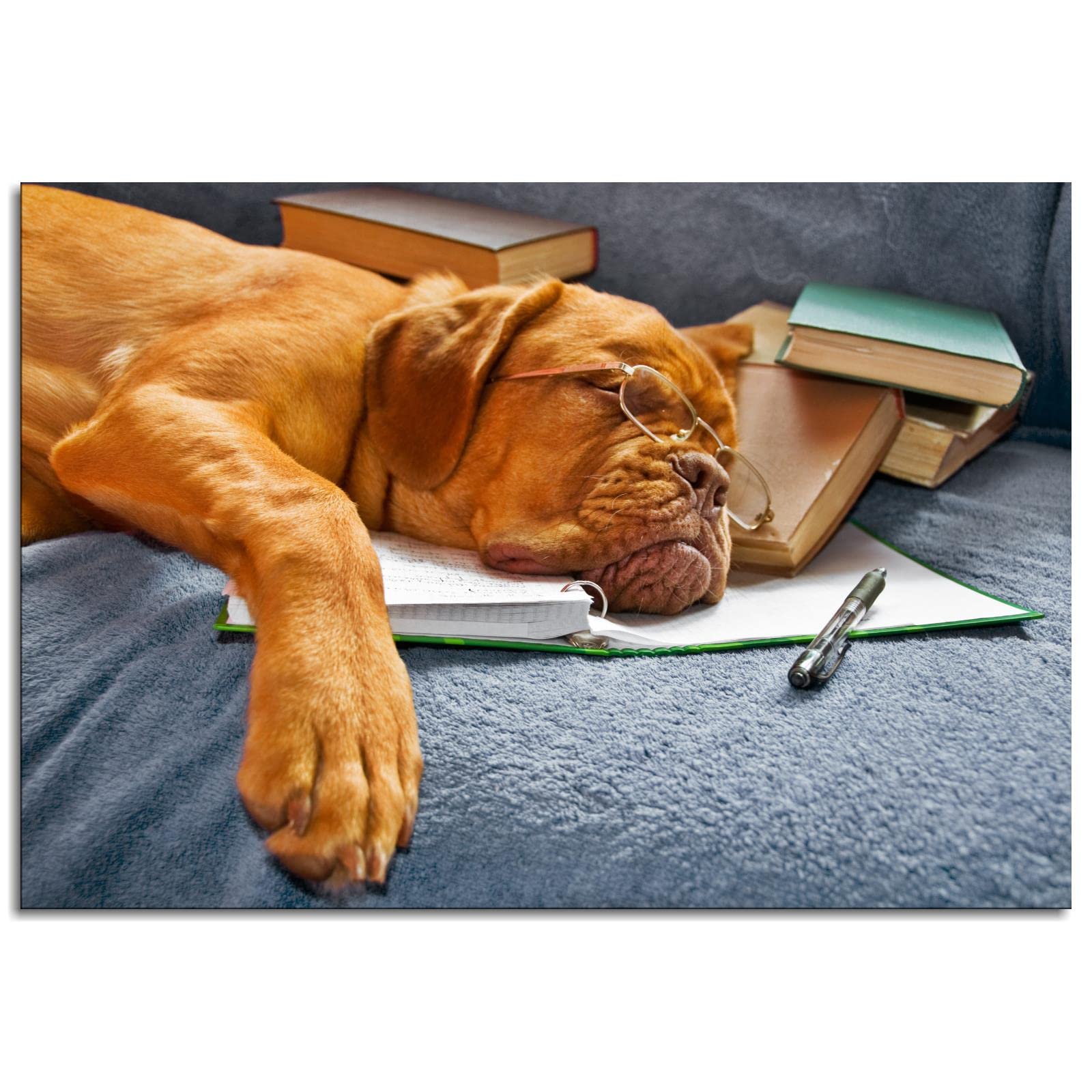 Tired Puppy Studying