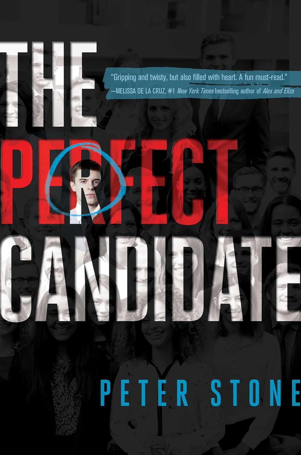 Amazon.com: The Perfect Candidate: 9781534422179: Stone, Peter: Books
