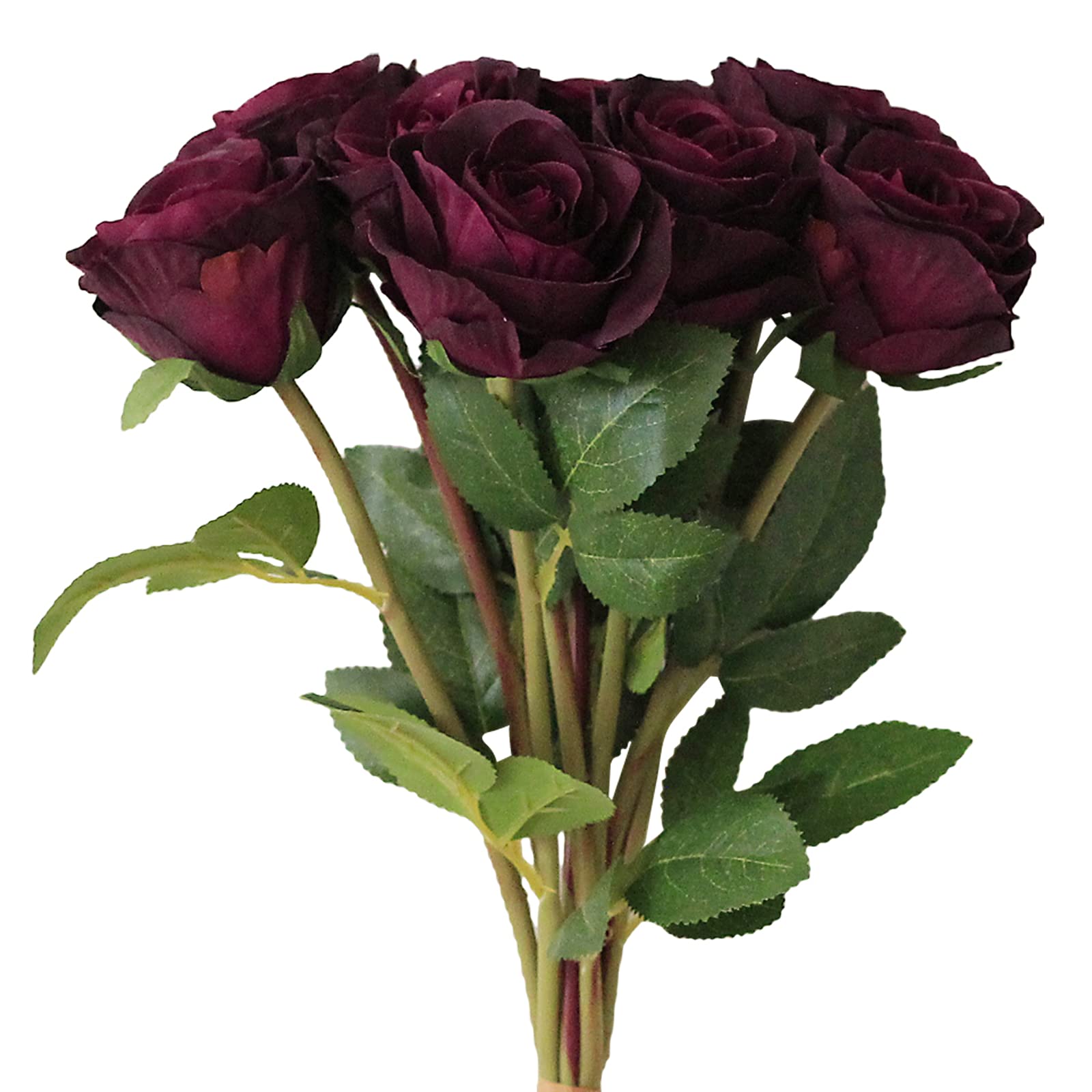Dark Maroon Roses