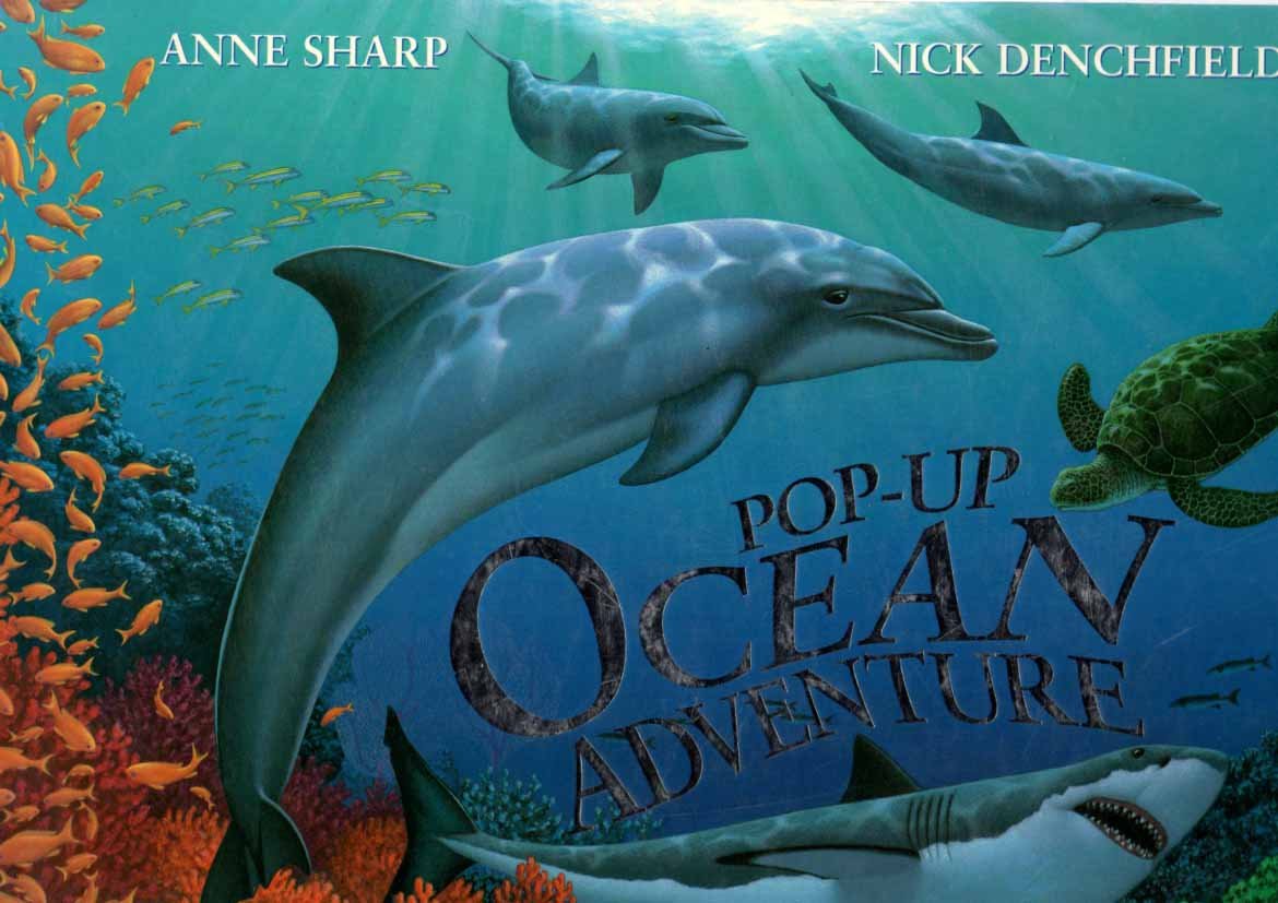 Pop-up Ocean Adventure: Denchfield, Nick: 9780333903773: Amazon.com: Books
