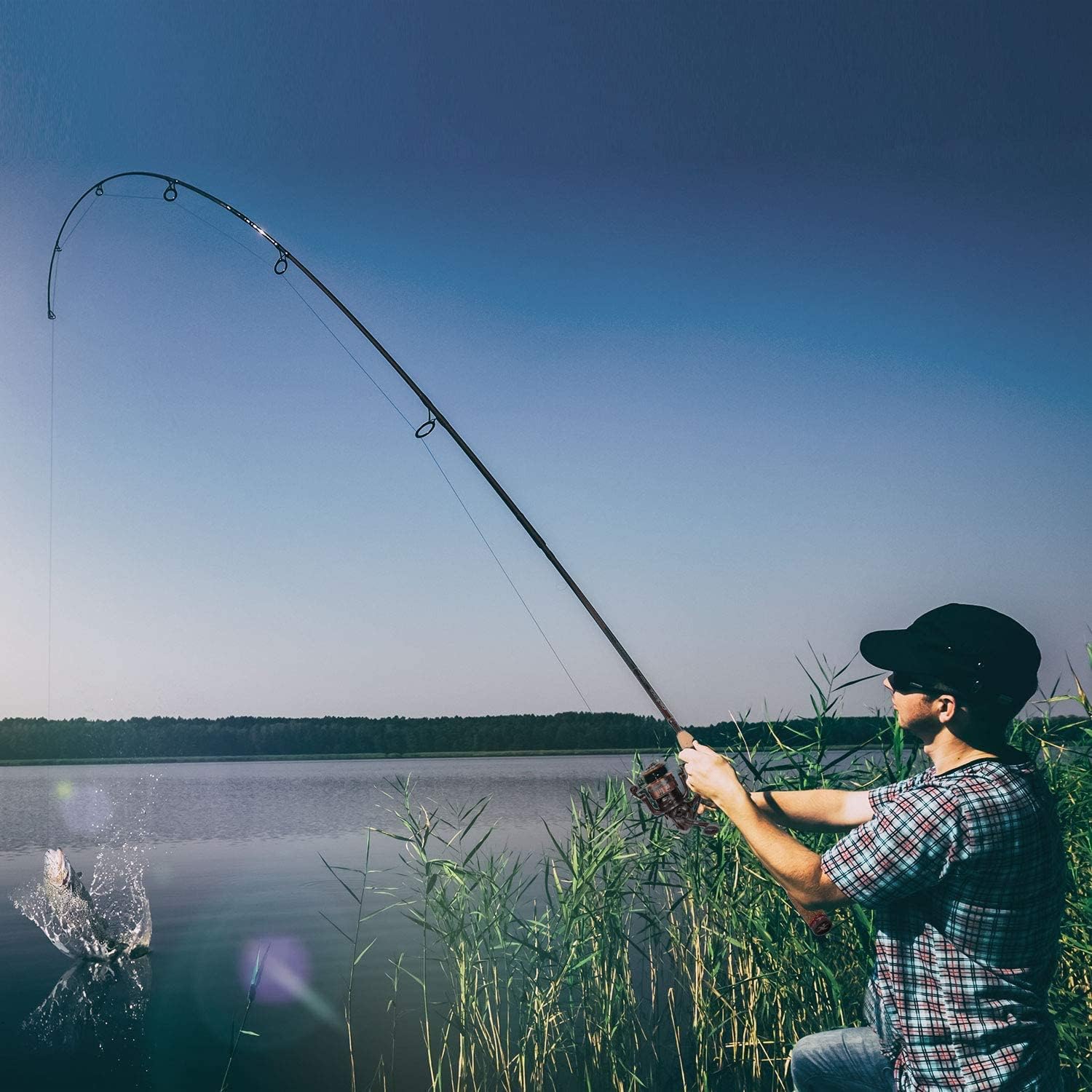 Cadence Vigor Spinning Rod, 30-Ton Carbon Blank, Fuji Reel Seat ...