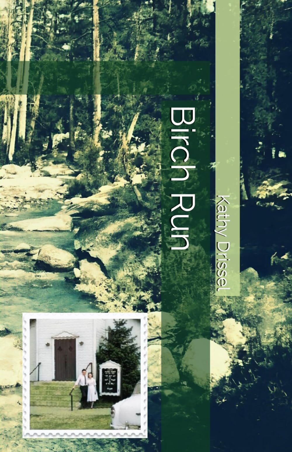 Birch Run: Drissel, Kathy Allison: 9798989623211: Amazon.com: Books