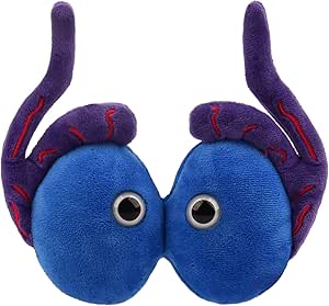 Amazon.com: GIANTmicrobes Testicle Plushie, Testicles Gift, Testicular ...