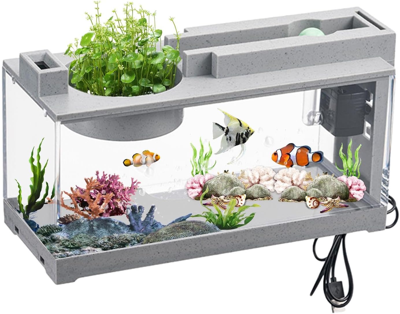 Fish Tank, Aquarium Starter Kits With Air Pump, Desktop Small Fish Tank ...