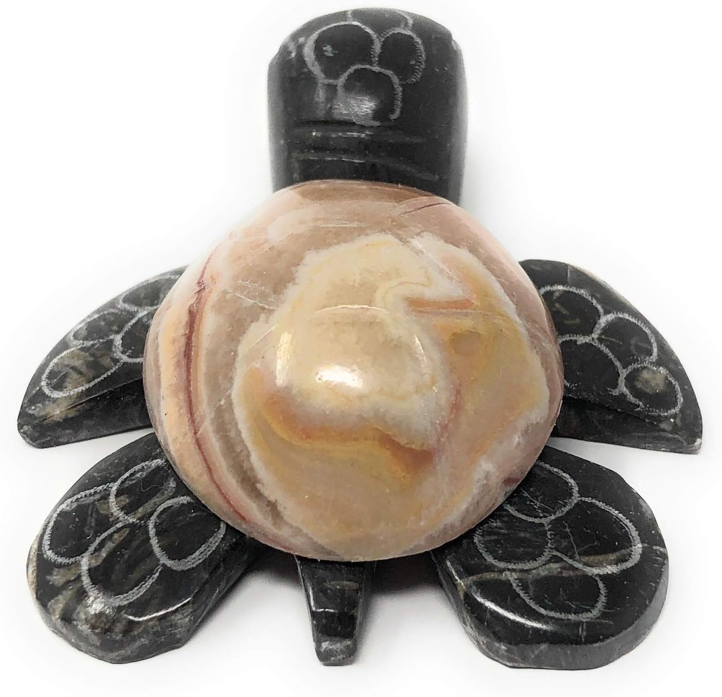 Amazon.com: Happy Aloha Hawaiian Hand Carved Natural Marble Turtle ...