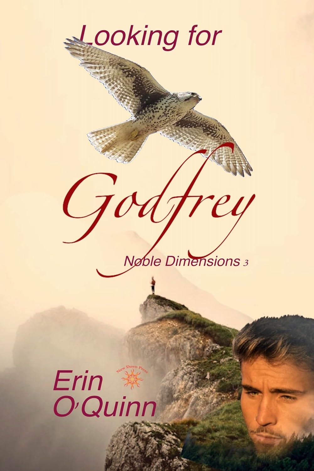 Looking for Godfrey (Noble Dimensions Book 3) - Kindle edition by O ...