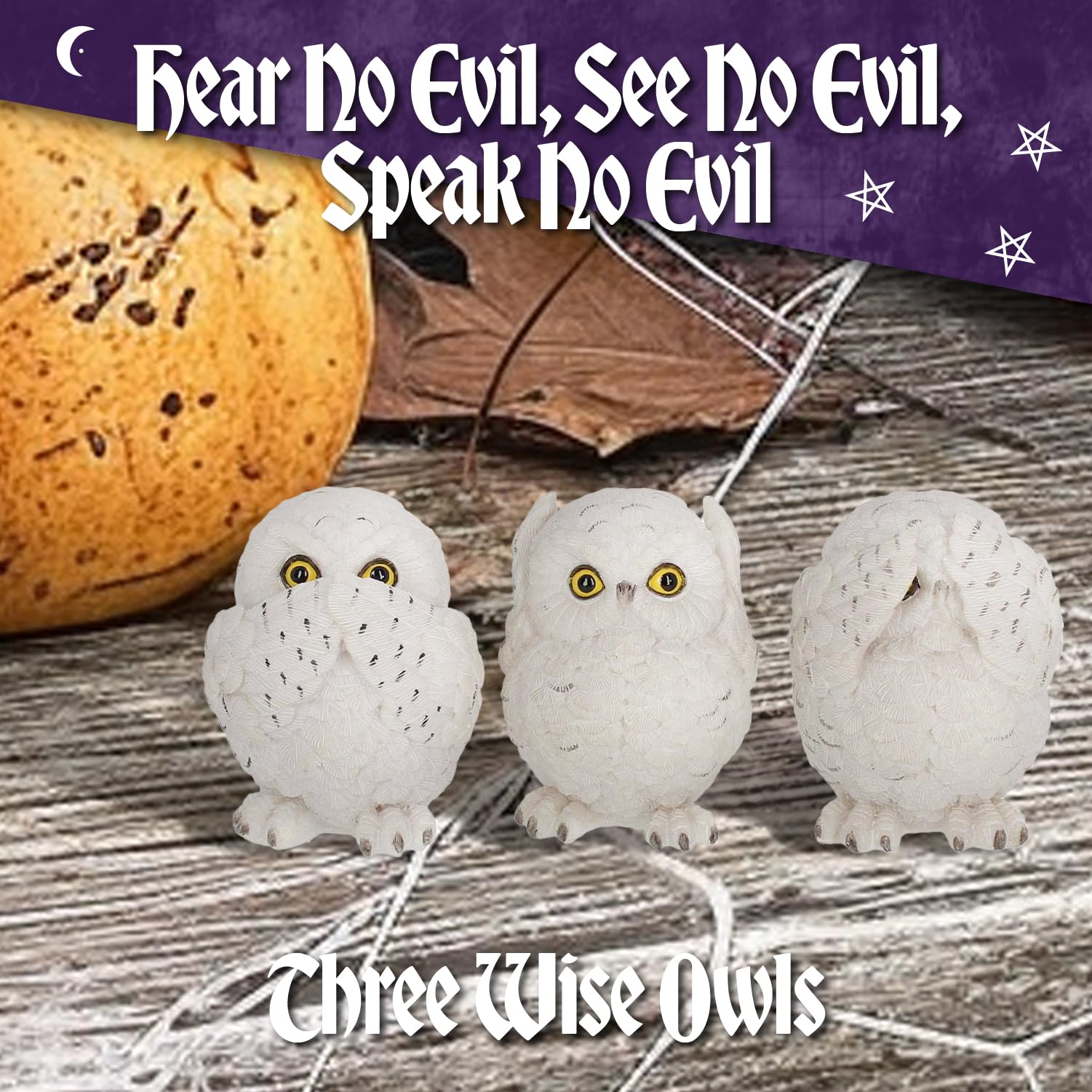 Snapklik.com : Nemesis Now Three Wise See No Evil Hear No Evil Speak No ...