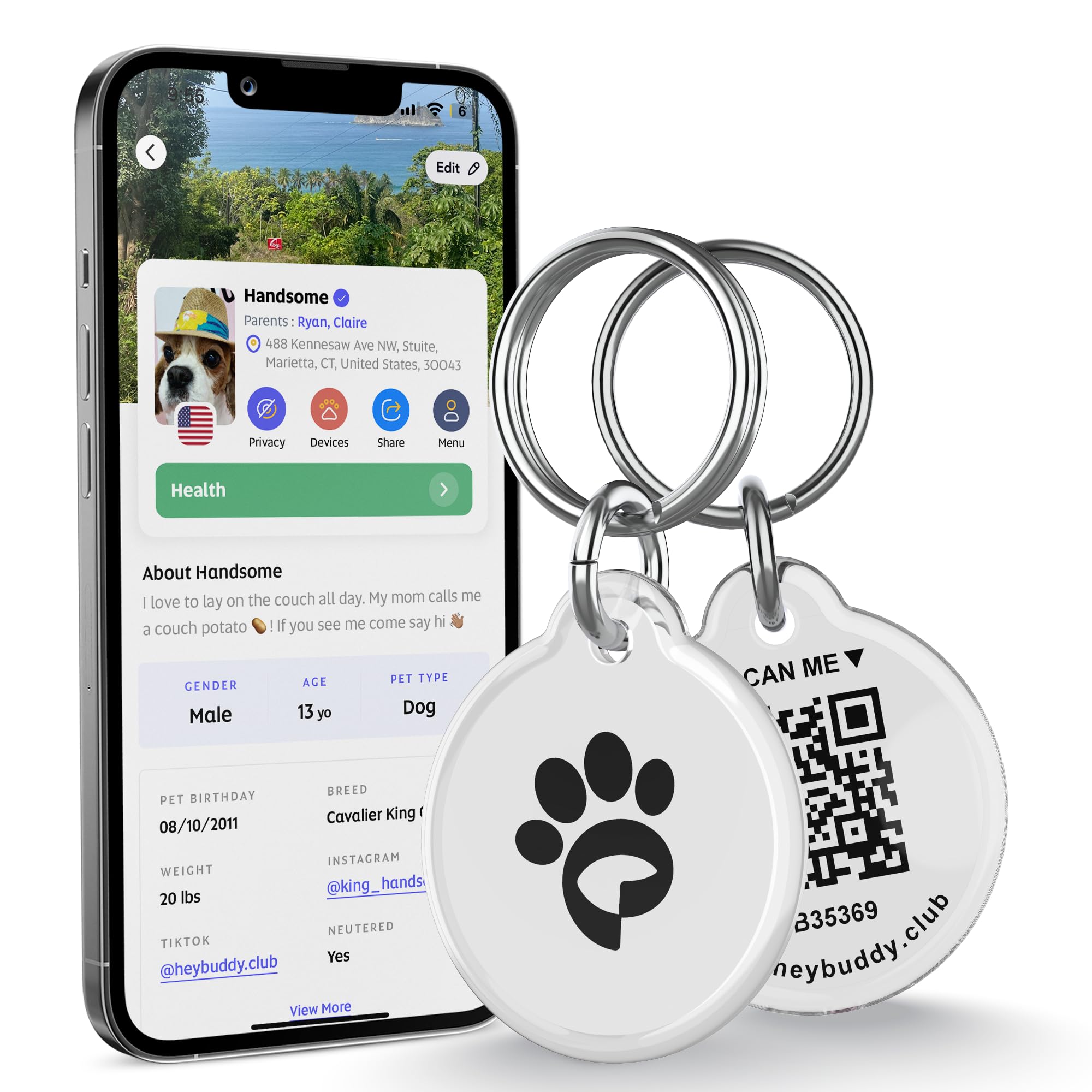Amazon.com: HeyBuddy® QR Code Smart Pet Tags for Dogs & Cats ...