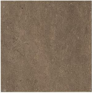 Dal-Tile 12241P6-AF01 - Baldosa de affinito, (Industrial Park), 12" x ...