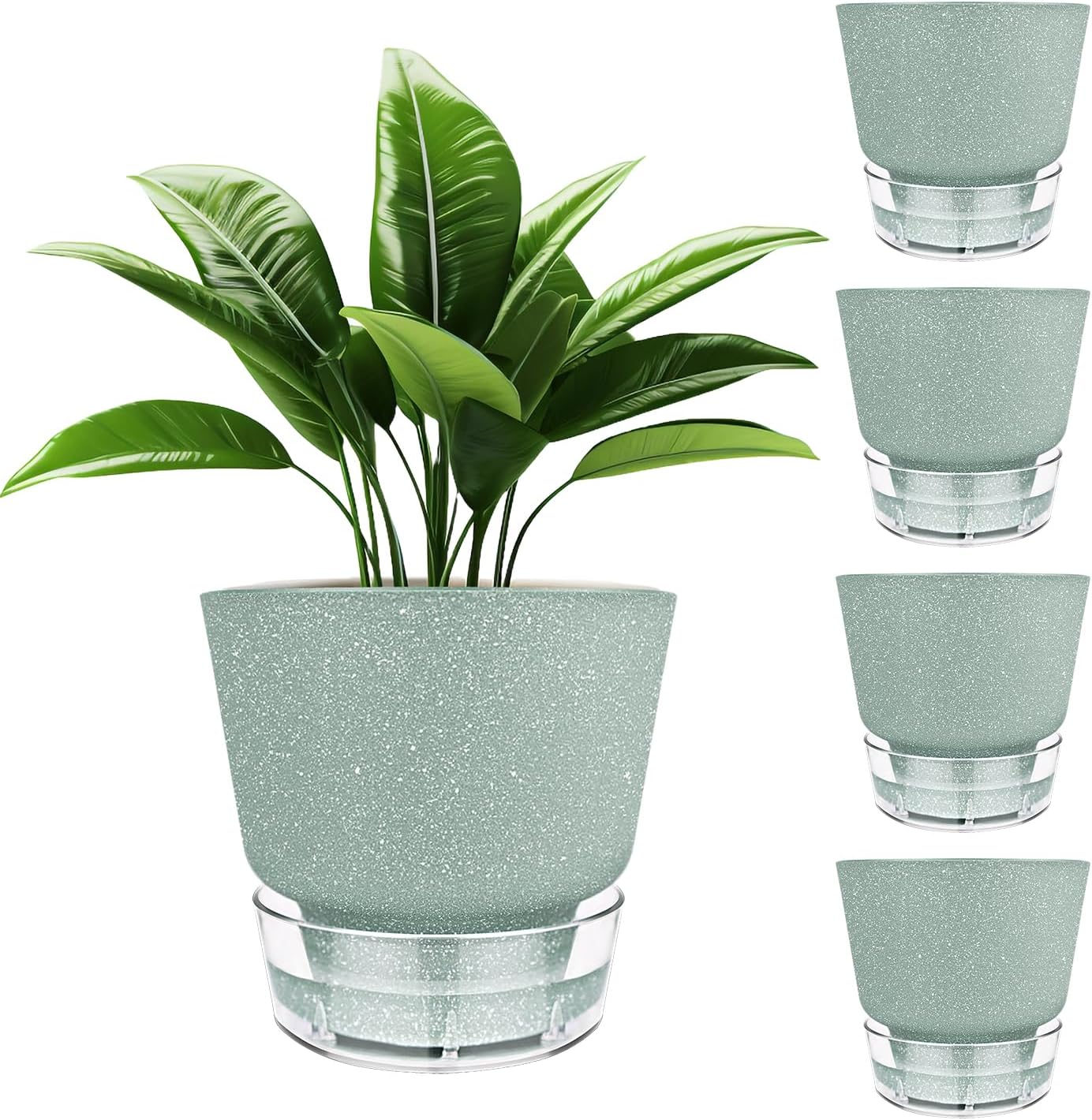 Amazon.com: Green Self Watering Plant Pots - 6" Planters for Indoor ...