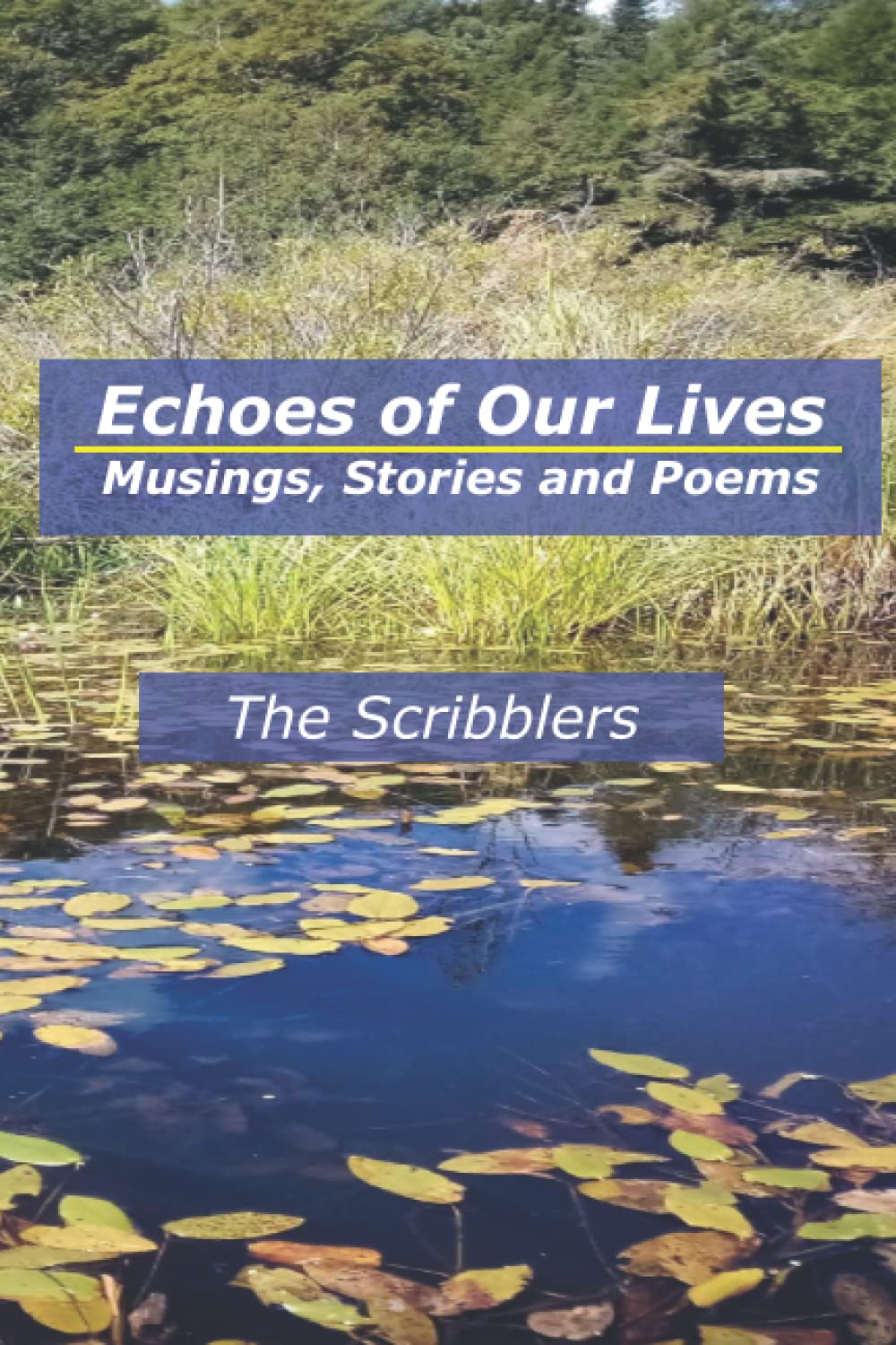 Amazon.com: Echoes of Our Lives: Musings, Stories and Poems ...
