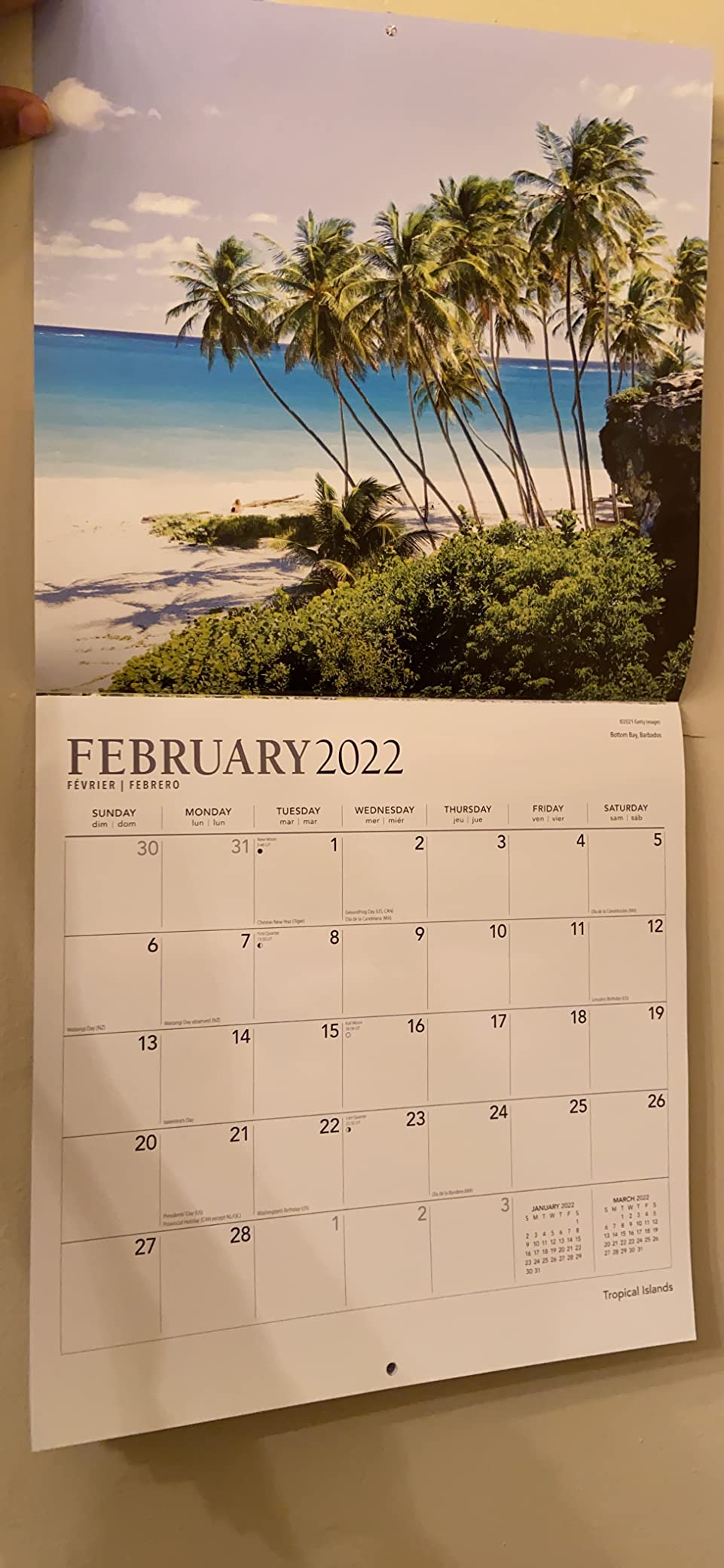 Amazon.com: Tropical Islands 2022 12 x 12 Inch Monthly Square Wall ...