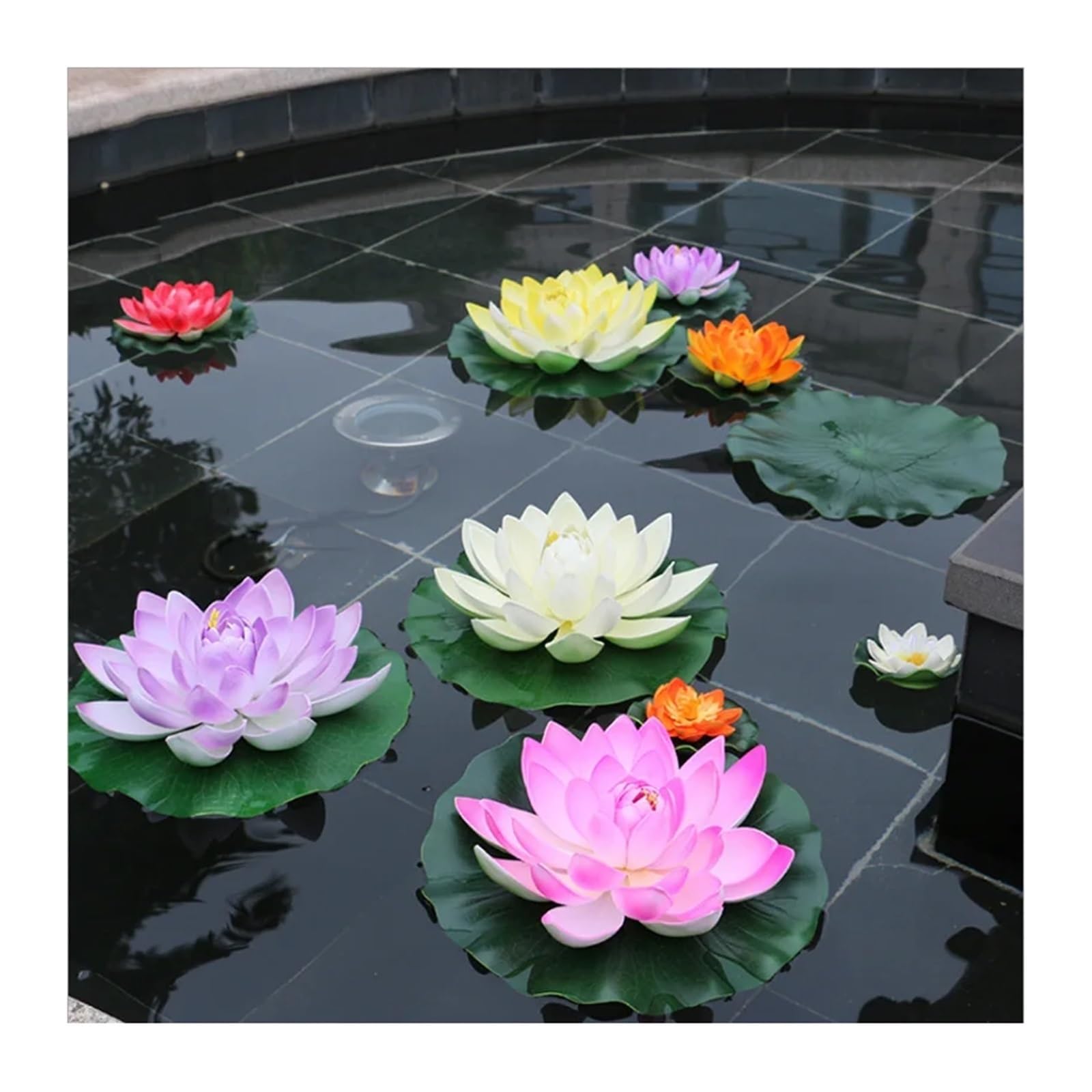 Estanque De Flores De Loto