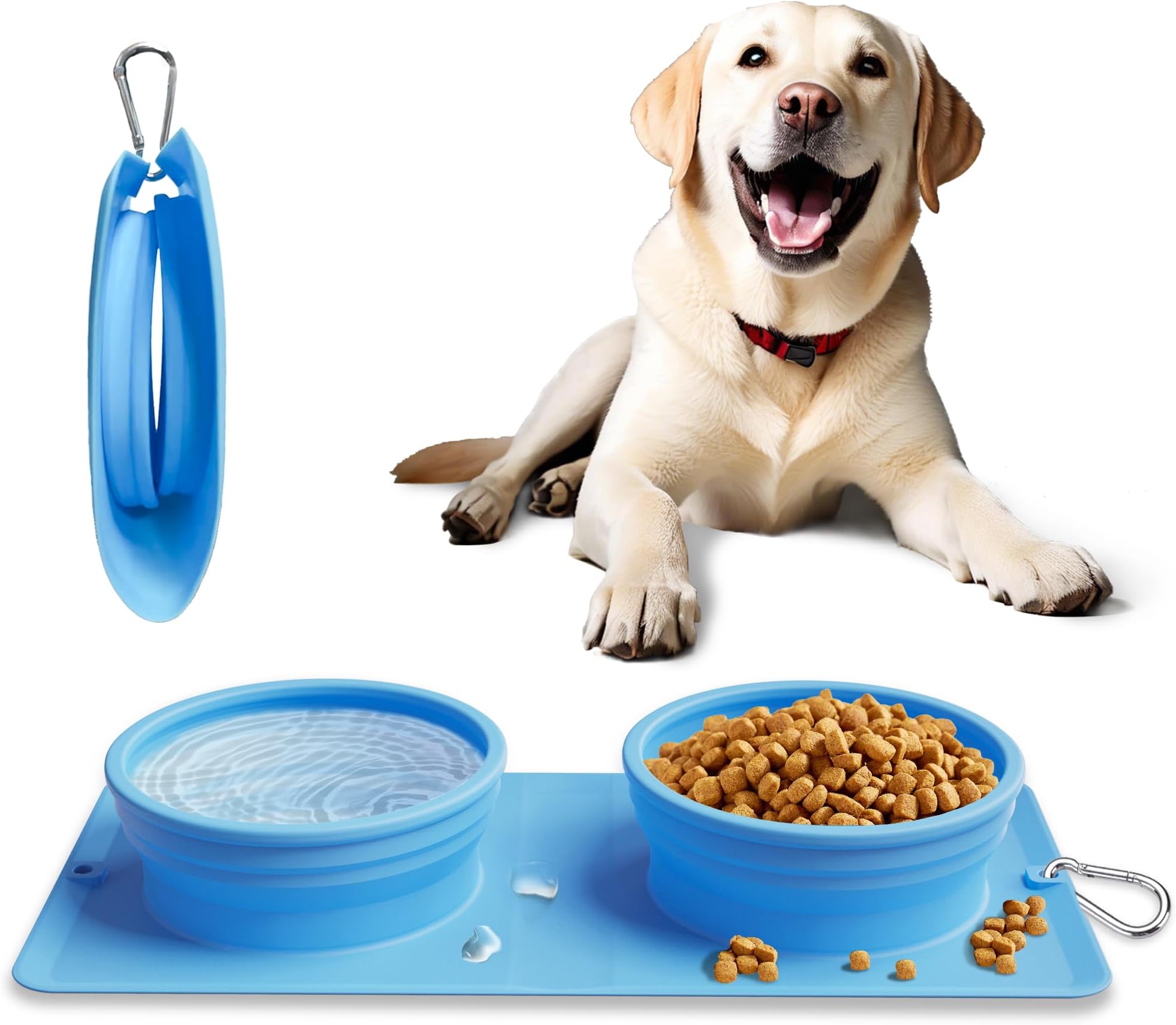 Amazon.com: Collapsible Portable 2-in-1 Dog Bowl, Integrated Travel Dog ...