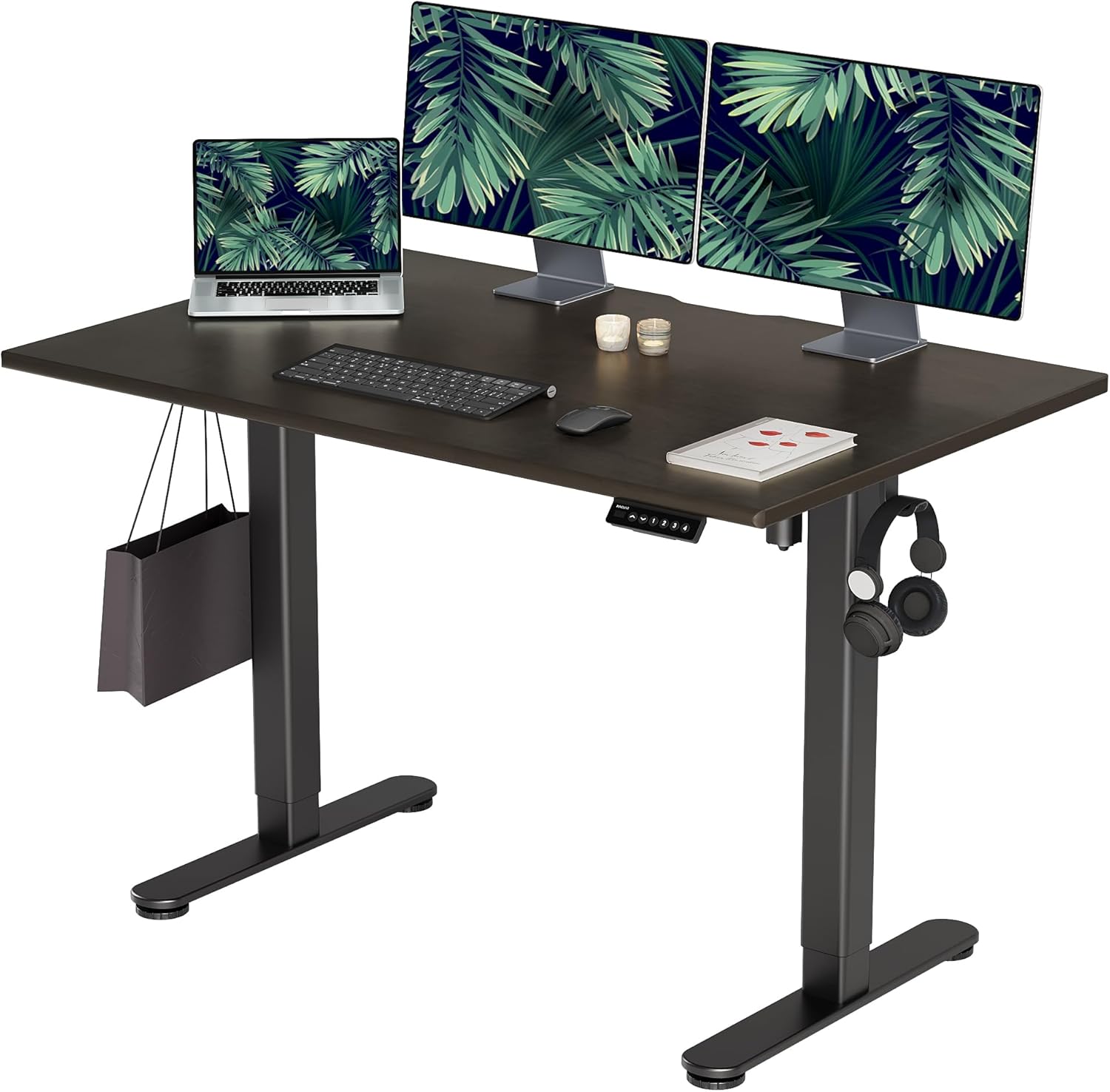 Amazon.com: INNOVAR Solid Wood Electric Standing Desk, 48x24 Inches ...