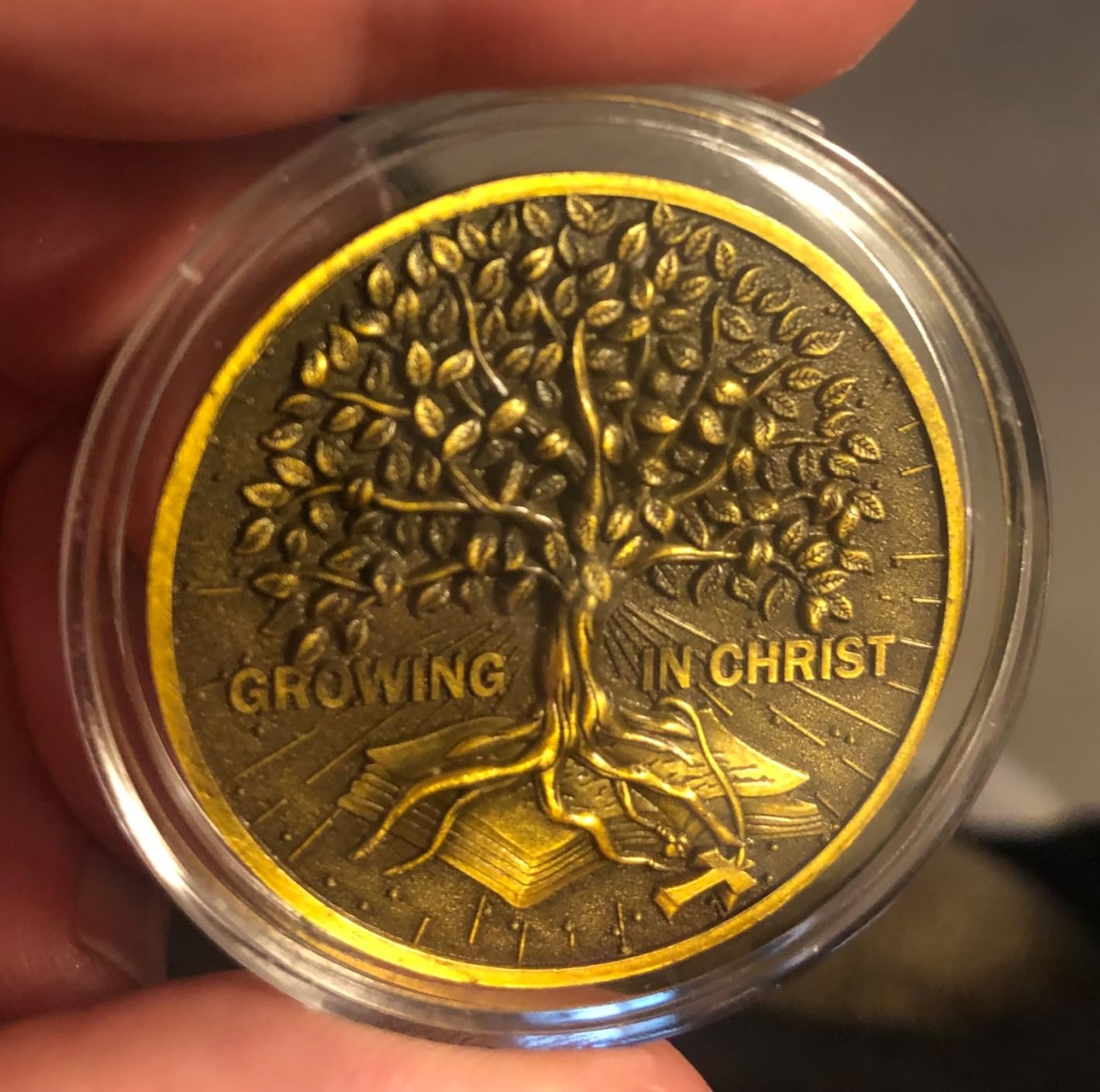Amazon.com: Growing in Christ Challenge Coin Christian Daily Reminder ...