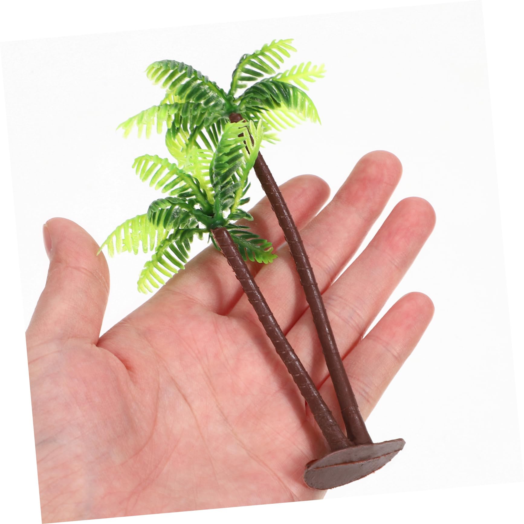 Palmera Miniatura De Interior